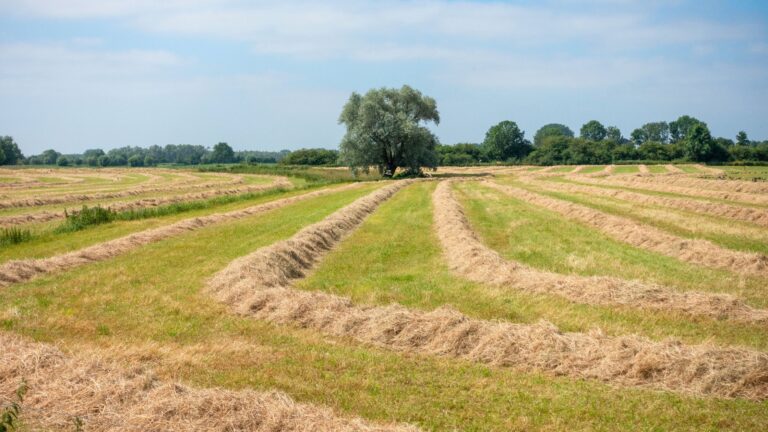 Hay Bale Squeezes For Bale Stack Moving | Norden Mfg